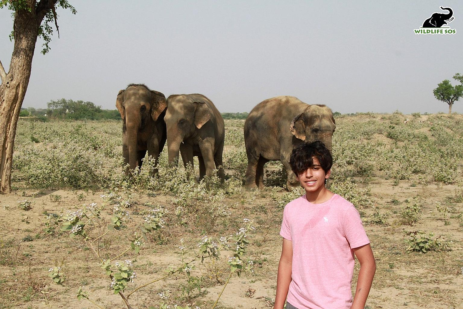 Help animals this Deepavali Singapore News - Tabla