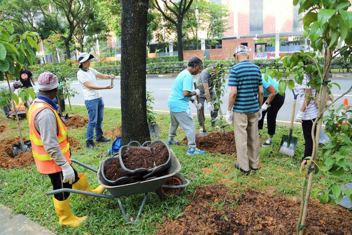 அப்துல் கலாம் லட்சியக் கழகத்தின் மரம் நடுவிழா, வாழ்வும் வளமும் - தமிழ் ...